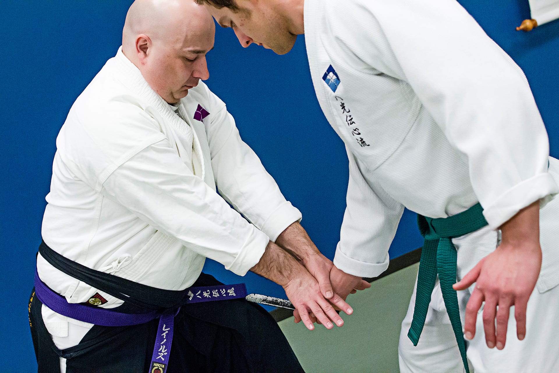 Weapon Defense Training | Koyama Dojo Livonia, MI
